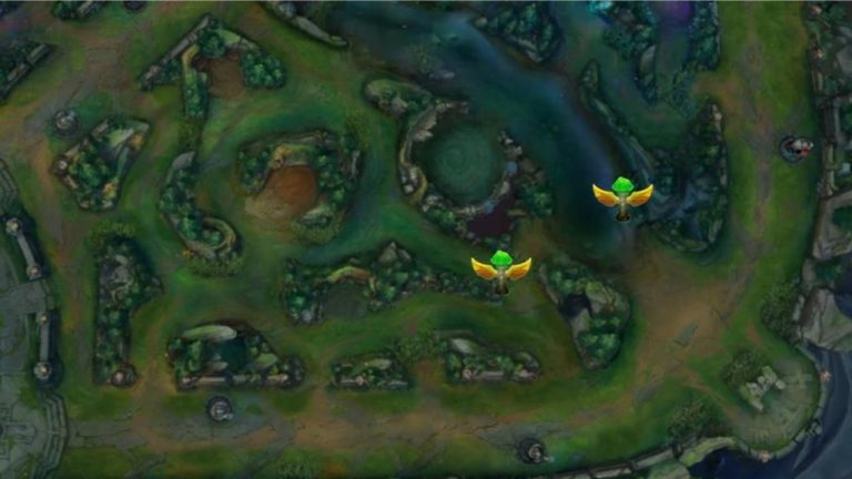 Best Places To Put Wards in Bot Lane